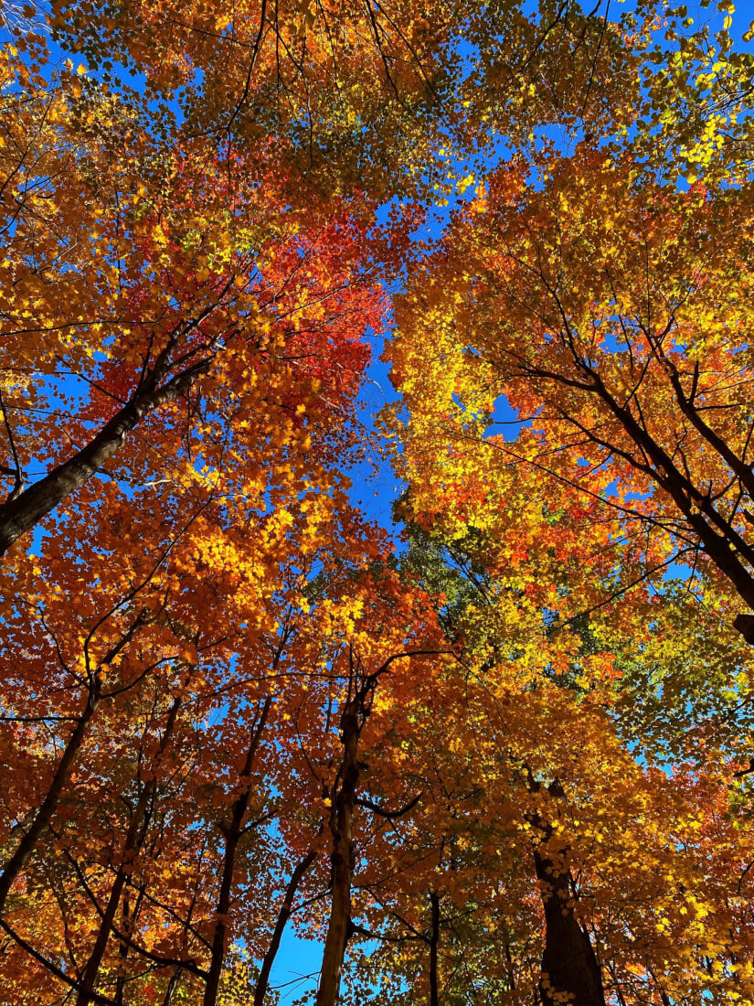 News - MAC Interior Design: Interior Design | Halifax, Nova Scotia